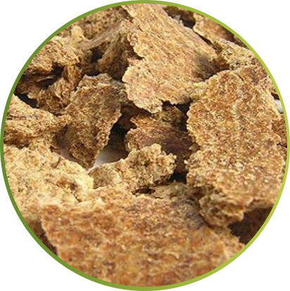 Protein Feed - Amalfi Wholesalers